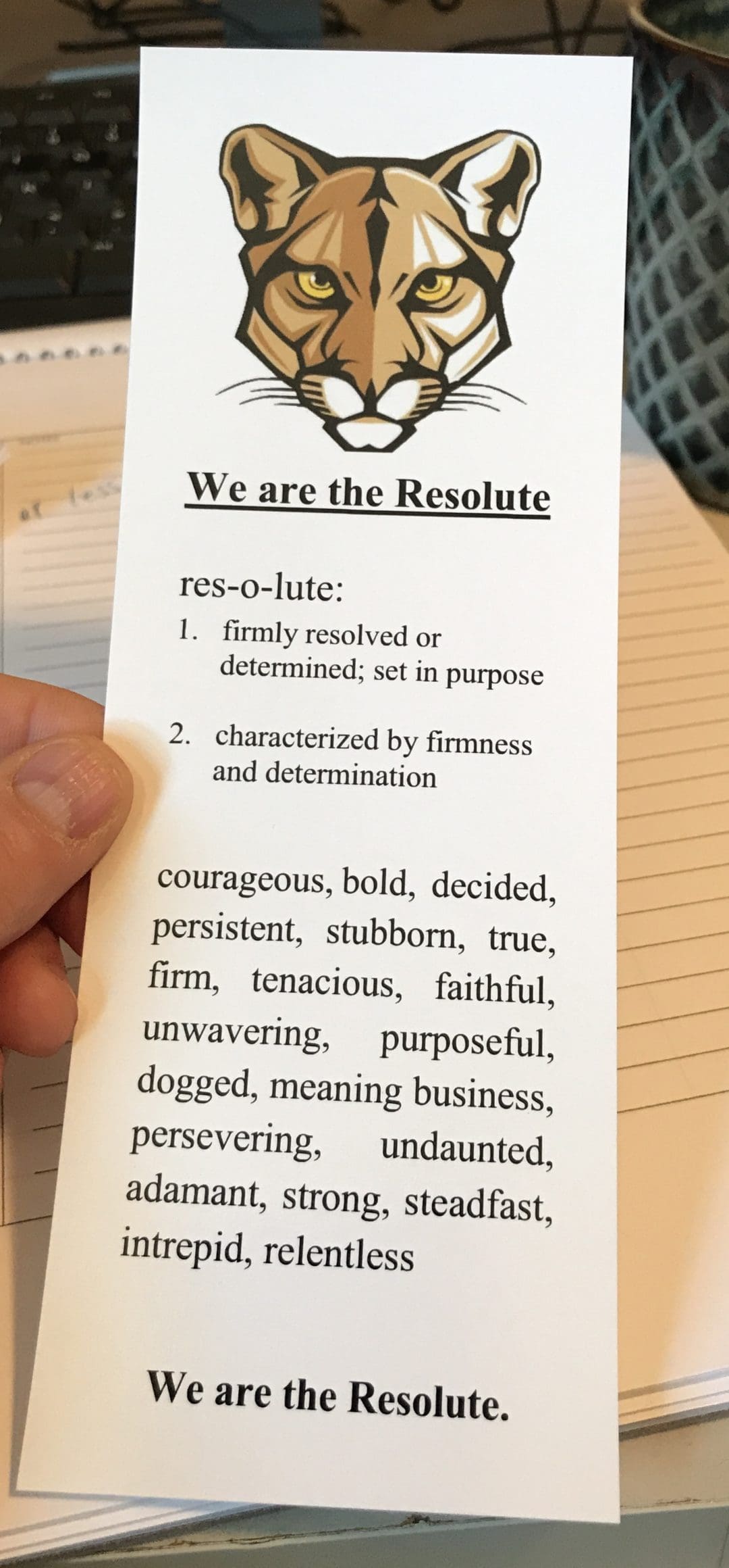 About Team Resolute Spirit Gear | Rapid City Dyslexia Care